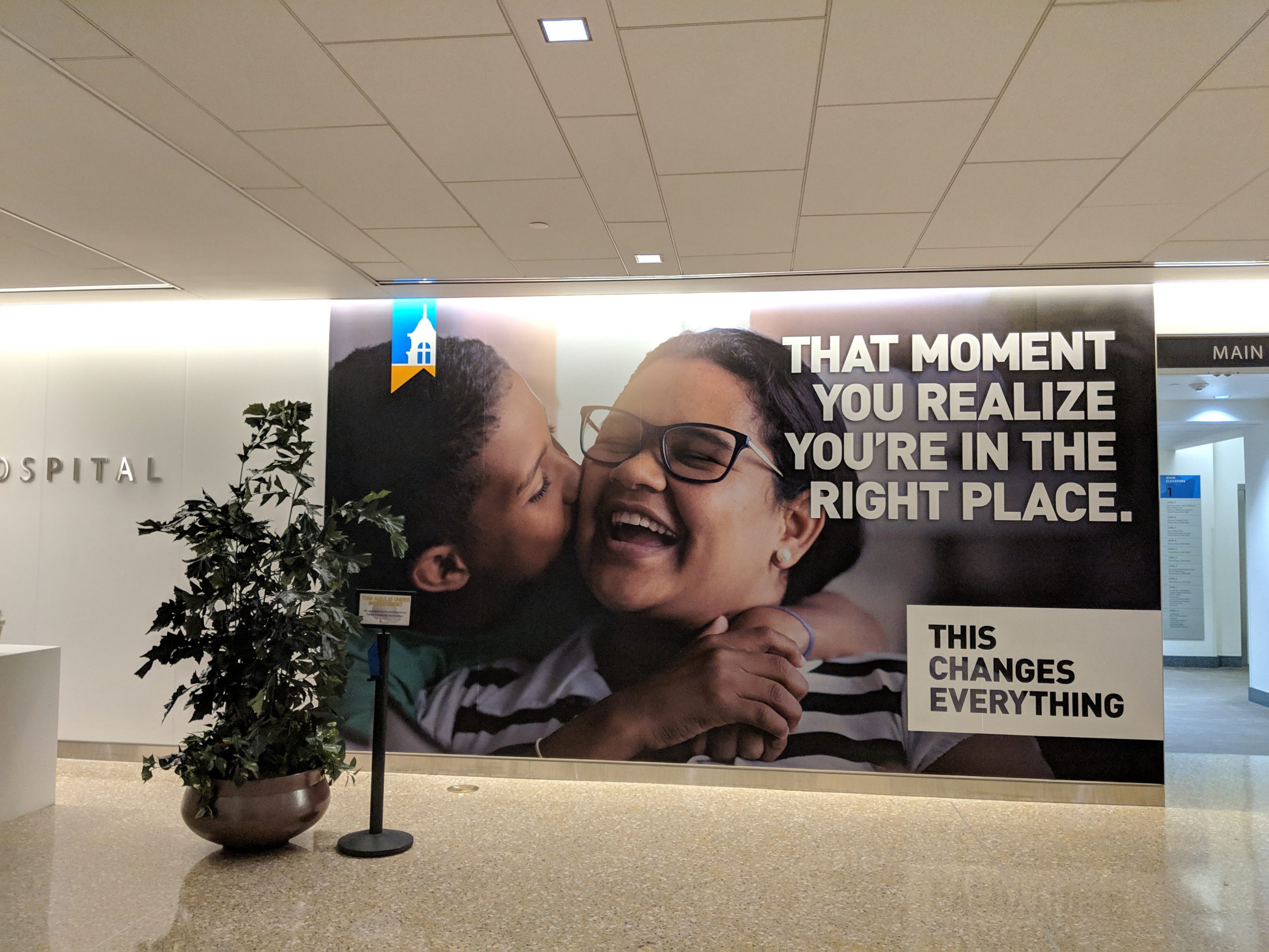 Wall and Elevator Signage – Evolution creative solutions